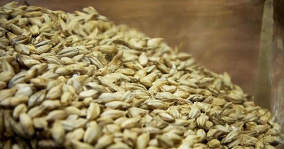 Guided Tours | The Whisky Exchange Whisky Show